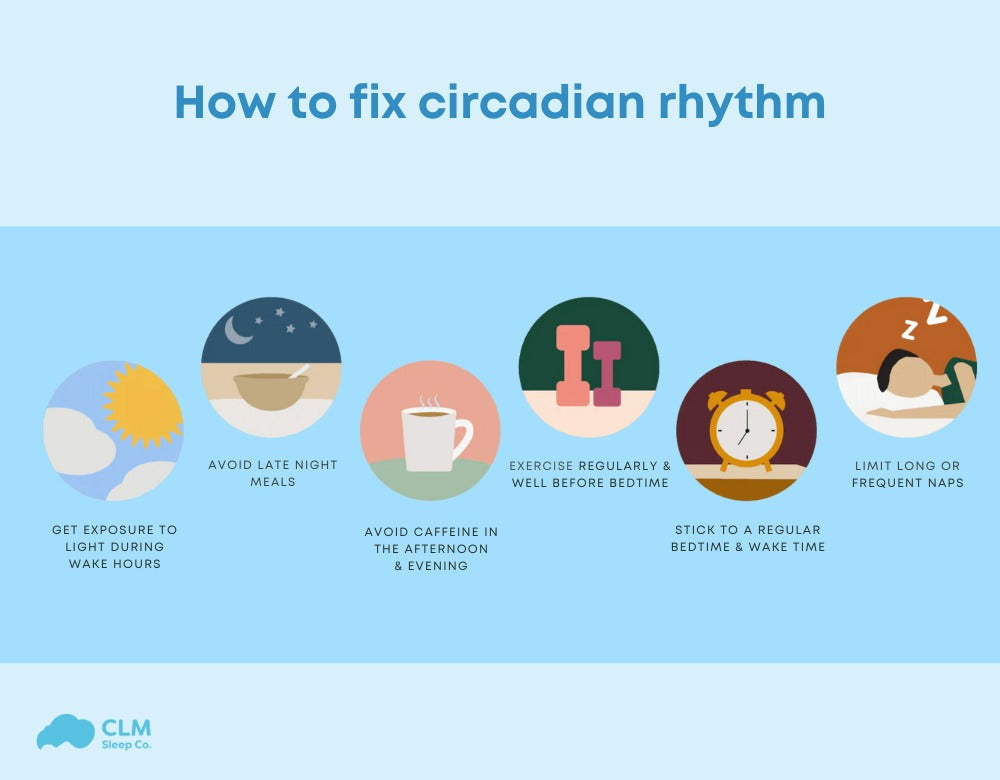 Circadian Rhythm Reset Therapy for Adults Over 50 — NileFinds